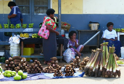 Blake and Deb in Fiji: Labasa, Part 1 - The Town